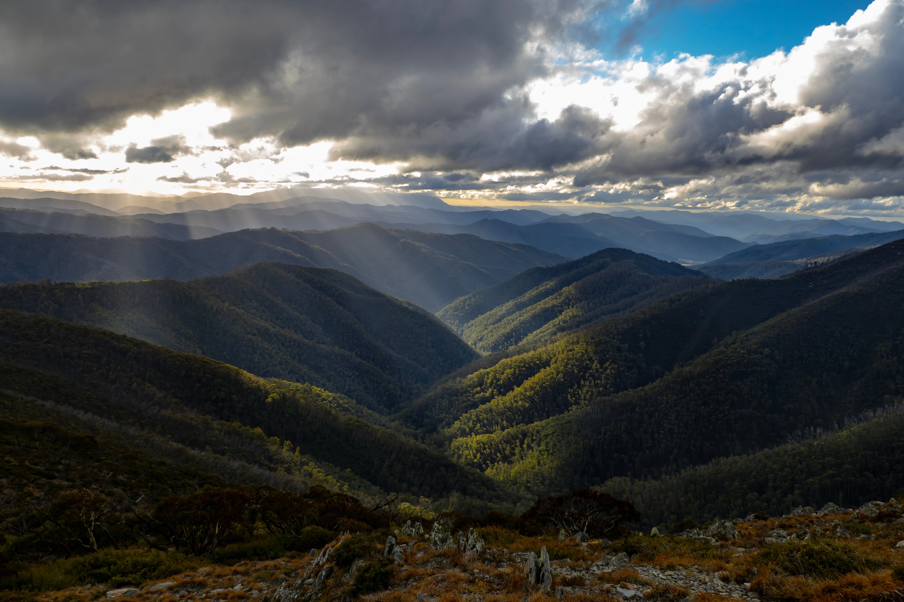 The Down South Photo Show